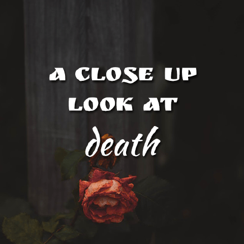 A Close up Look at Death | SavingNinja